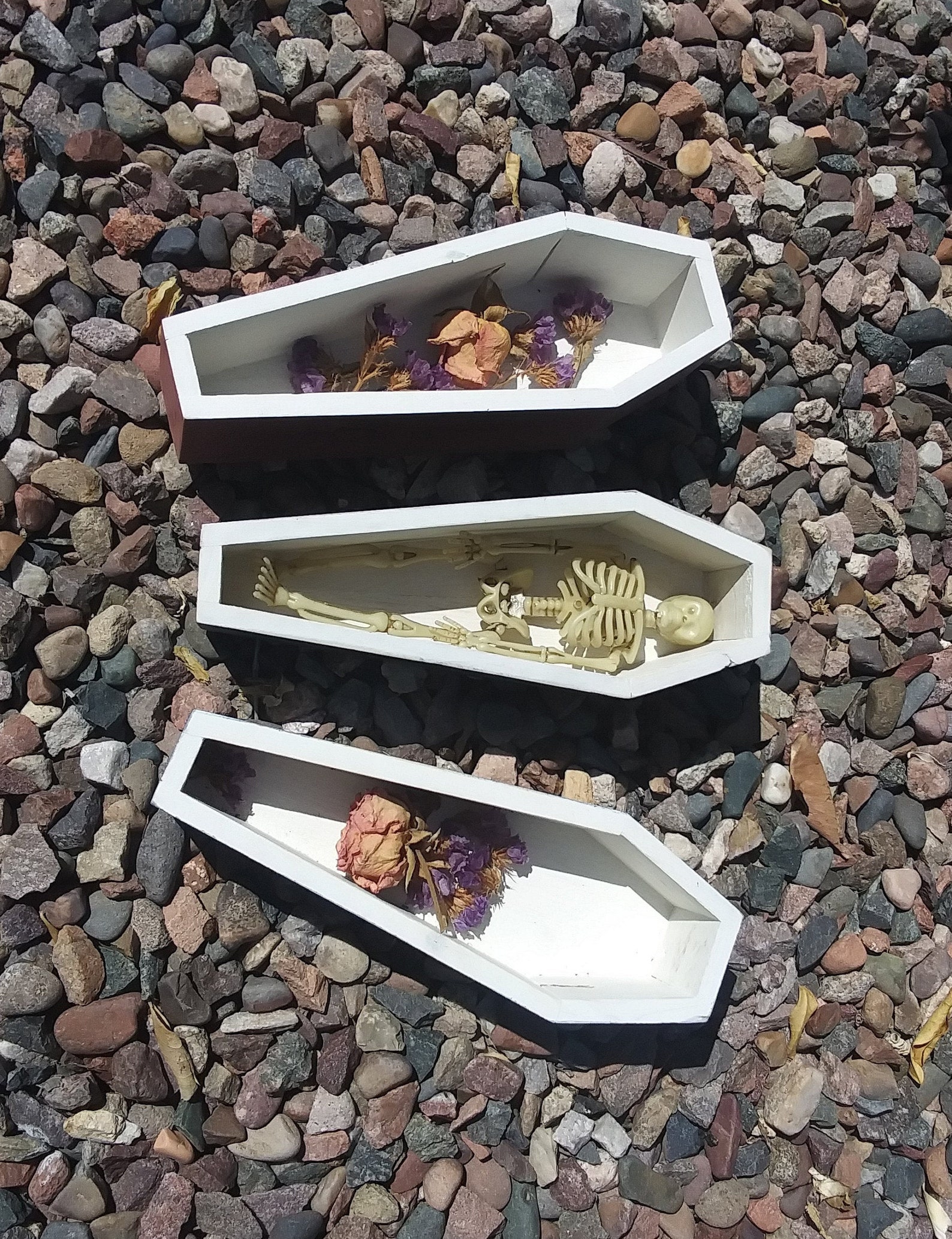 Toe-pincher Coffin With No Lids See Additional Photos Color Options - Etsy