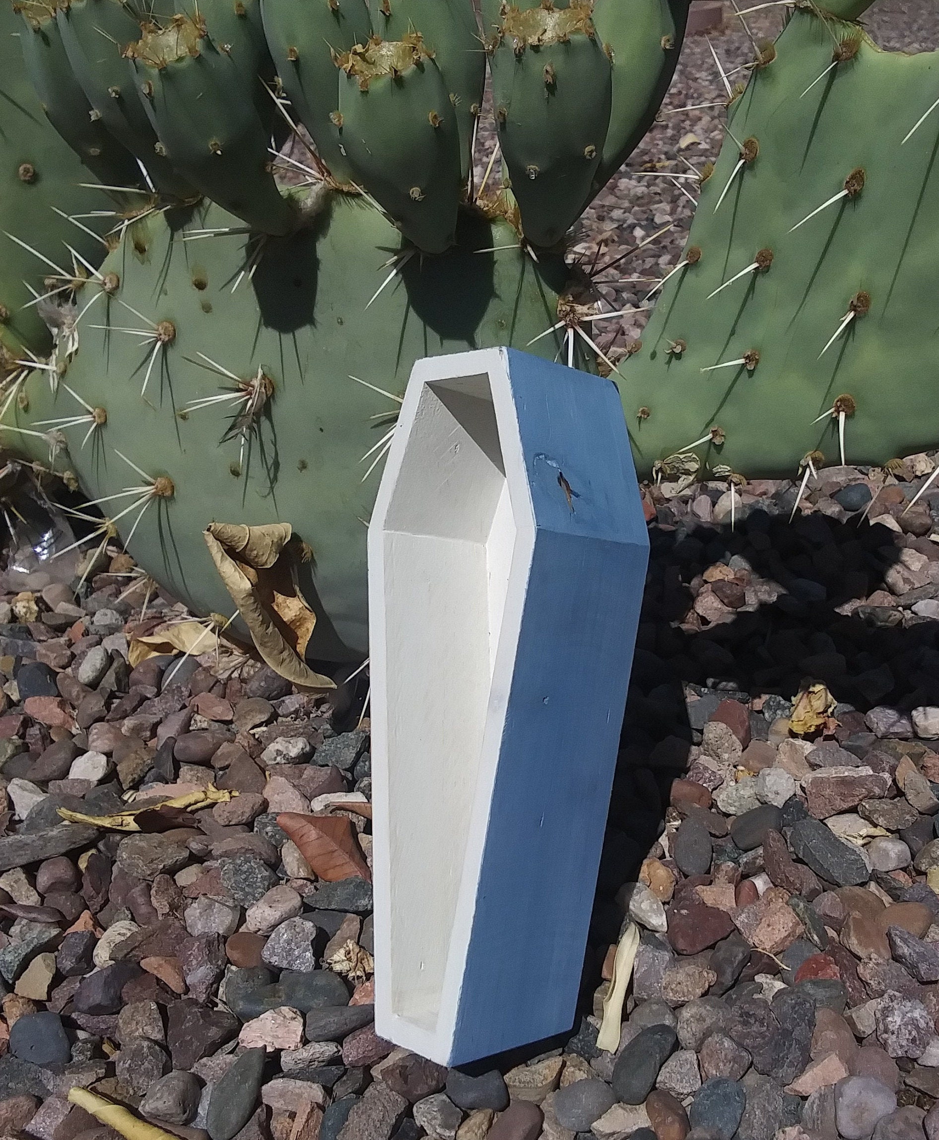 Toe-pincher Coffin With No Lids See Additional Photos Color Options - Etsy