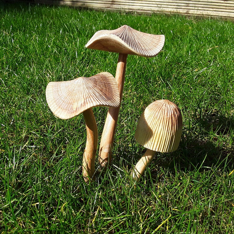 Mushroom Set - Etsy
