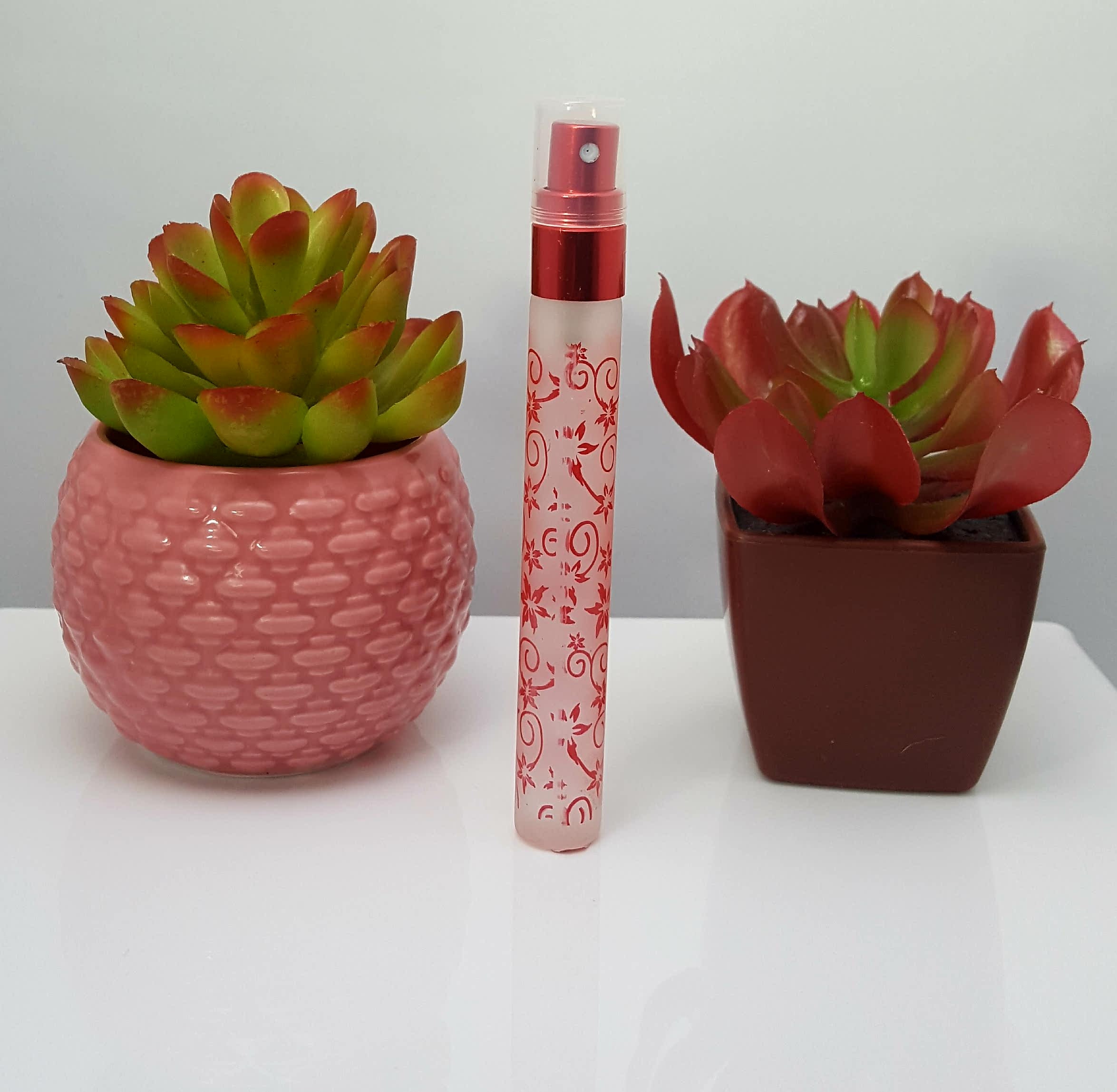 Watermelon Perfume Spray 10 ml Handmade Perfume Fragrance | Etsy