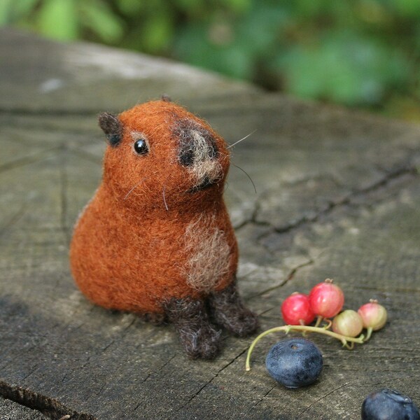 Felt Capybara Pattern - Etsy