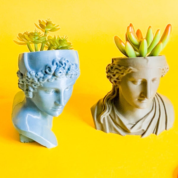 Bust Planter - Etsy