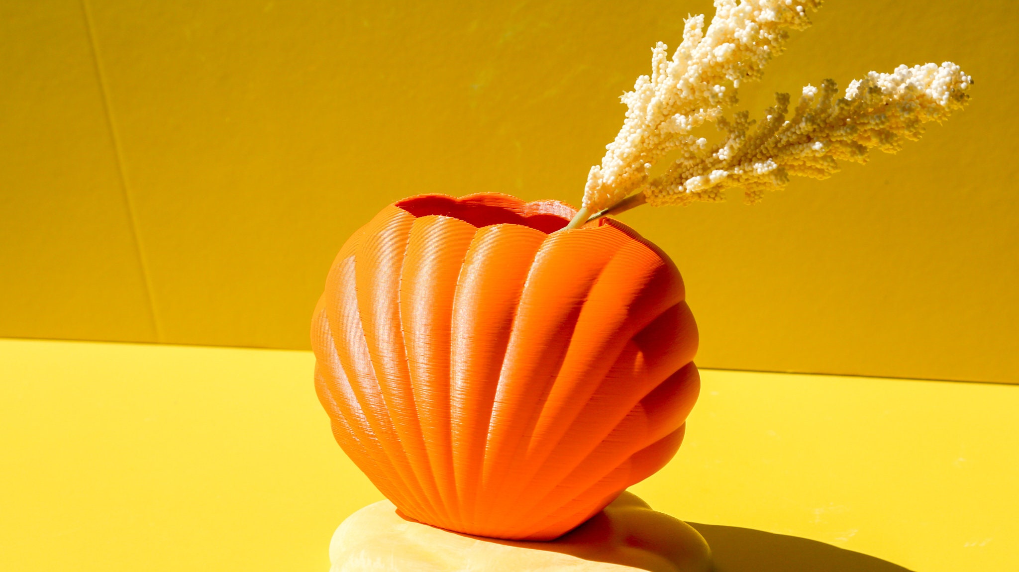 SEASHELL VASE Sea Shell Calm Shell Art Deco Home Decoration | Etsy