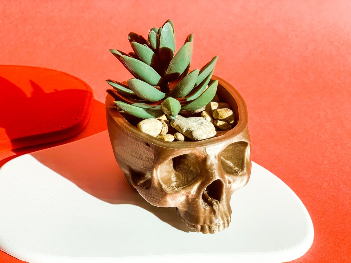 SKULL PLANTER Human Skull Planter Skull Succulent Planter | Etsy UK