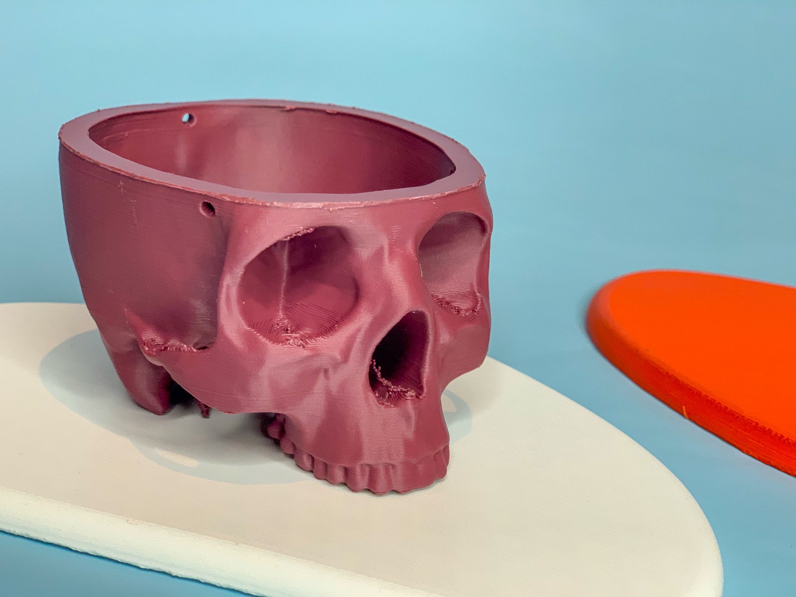 SKULL PLANTER Human Skull Planter Skull Succulent Planter | Etsy UK