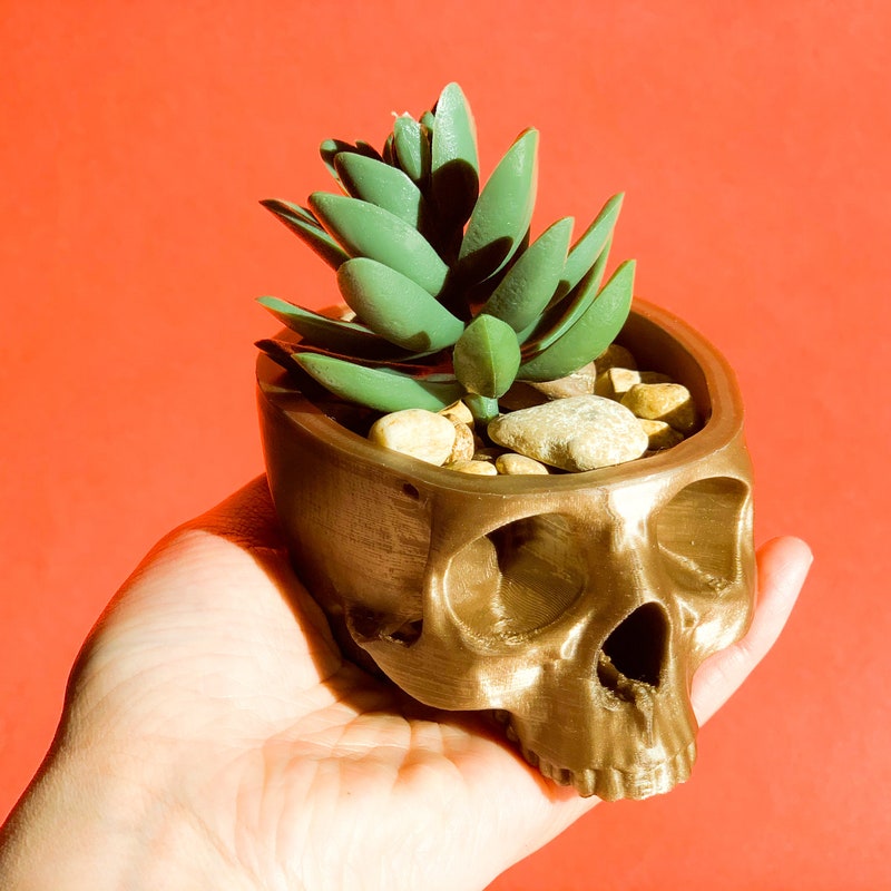 Skull Plant Pot - Etsy UK