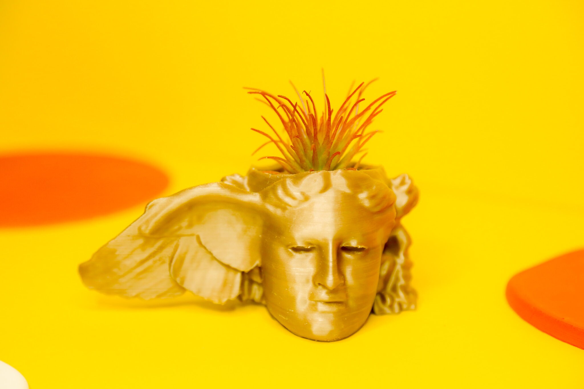 HEAD PLANTER Greek Mythology Sculpture Plant Pot Greek Statue - Etsy UK