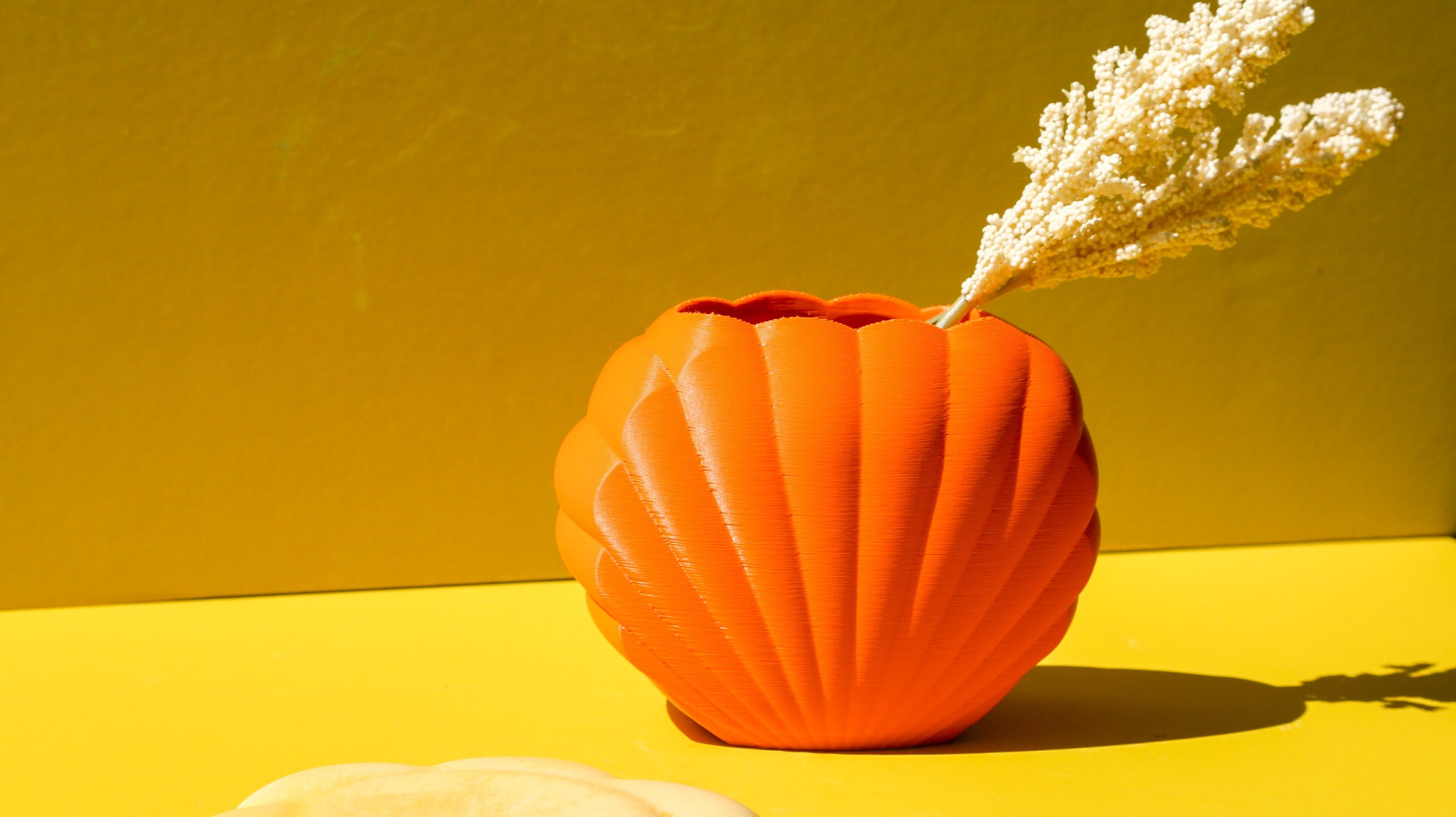 SEASHELL VASE Sea Shell Calm Shell Art Deco Home Decoration | Etsy