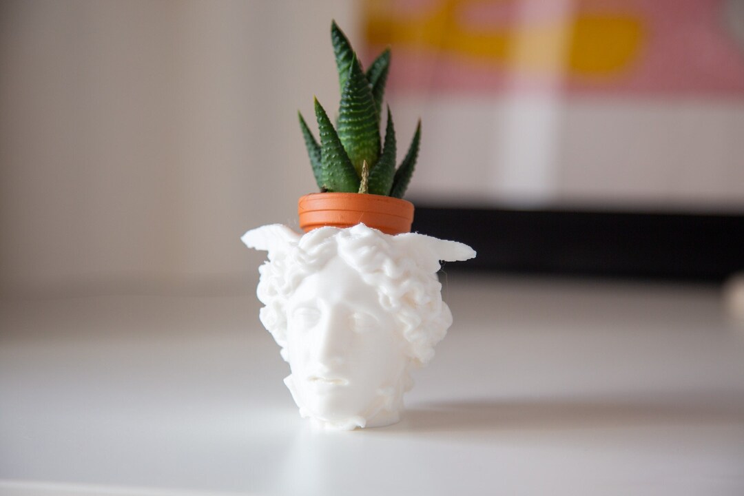 GOD HEAD PLANTER Head of Medusa 3D Printed Sculpture Cactus Flower Pot ...