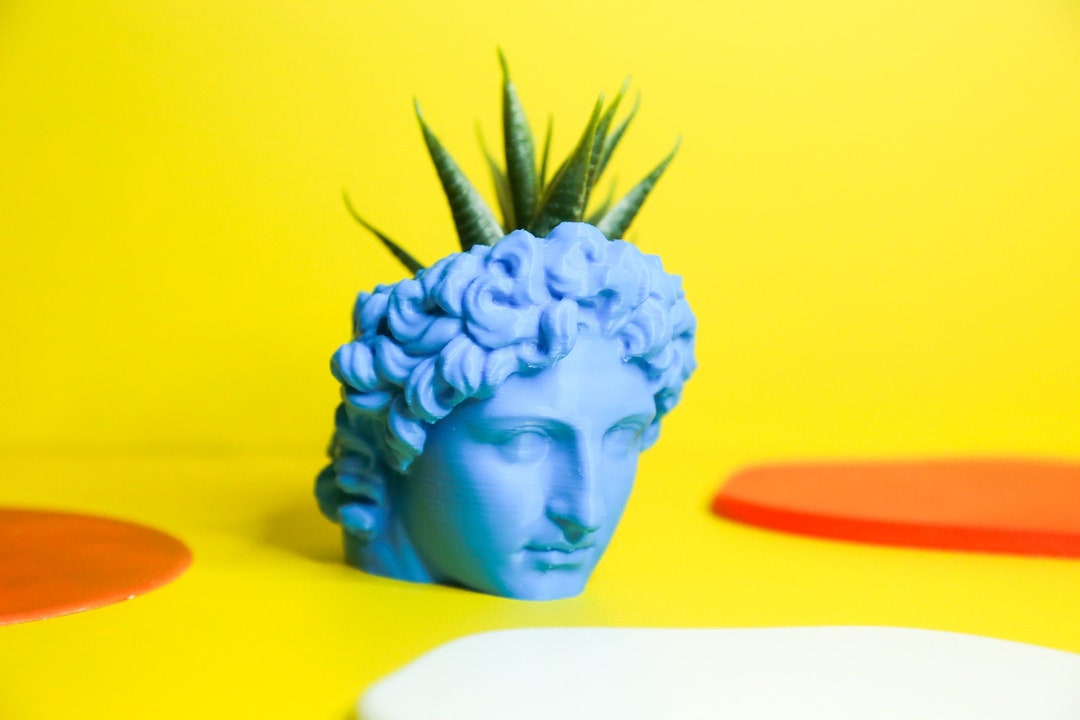 BUST HEAD PLANTER Sculpture Plant Pot Greek Statue Head Flower - Etsy UK