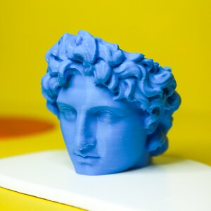 BUST HEAD PLANTER Sculpture Plant Pot Greek Statue Head Flower - Etsy UK