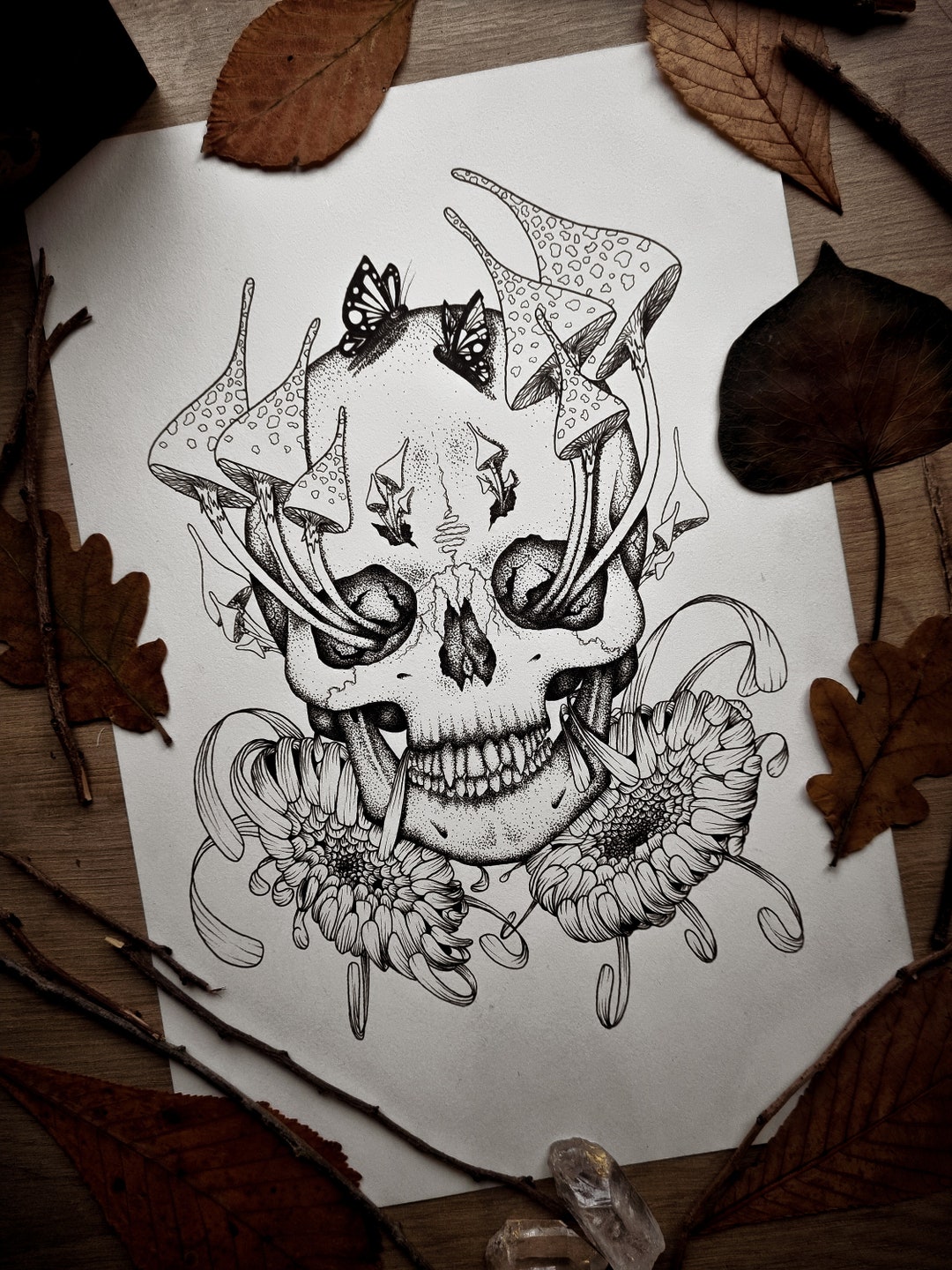 Life and Death, Skull Drawing With Chrysanthemum Flowers and Mushrooms ...