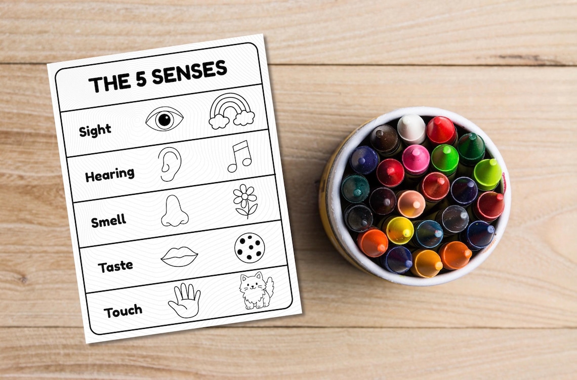 The 5 Senses Worksheet | Preschool Coloring Activity | Printable ...