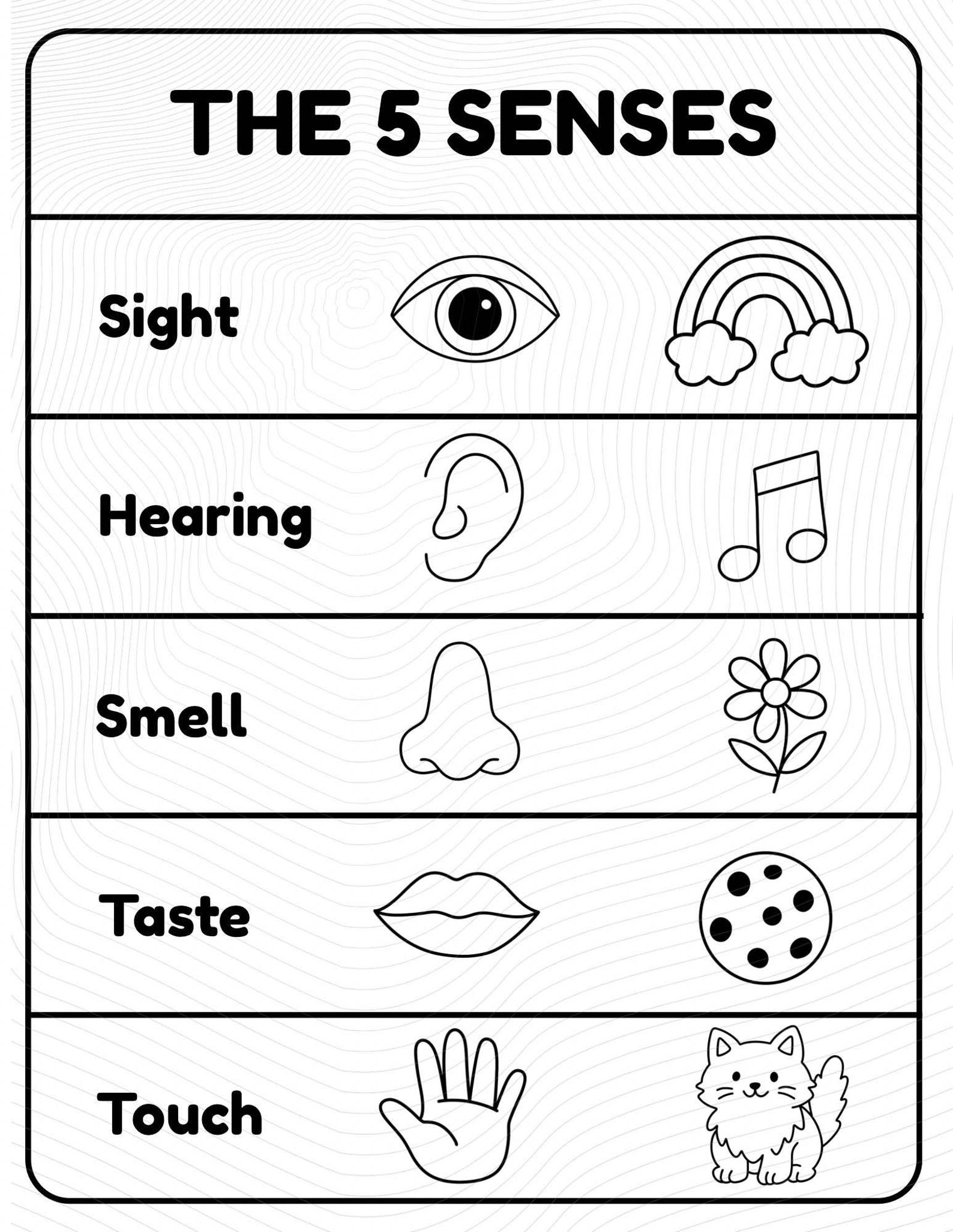 The 5 Senses Worksheet | Preschool Coloring Activity | Printable ...