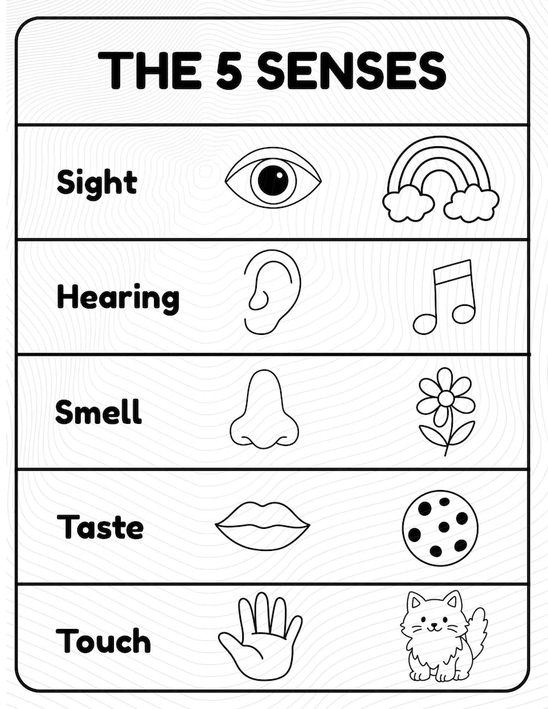 The 5 Senses Worksheet | Preschool Coloring Activity | Printable ...