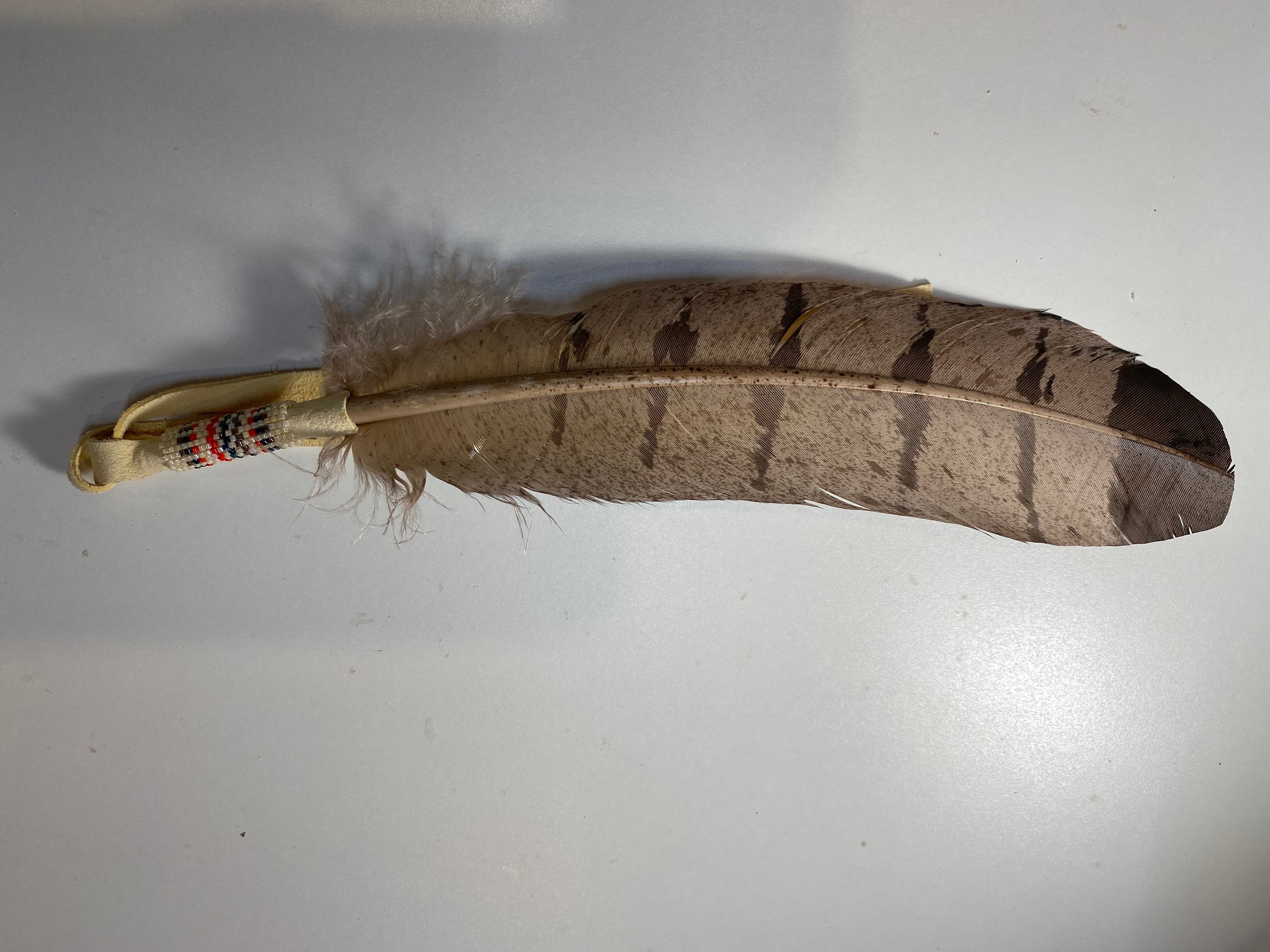 Native American Wearing An Eagle Feather