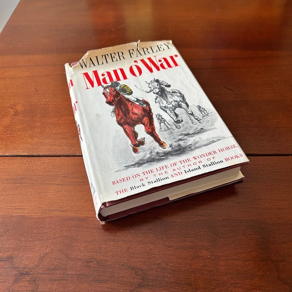 The Wonder Horse - Etsy