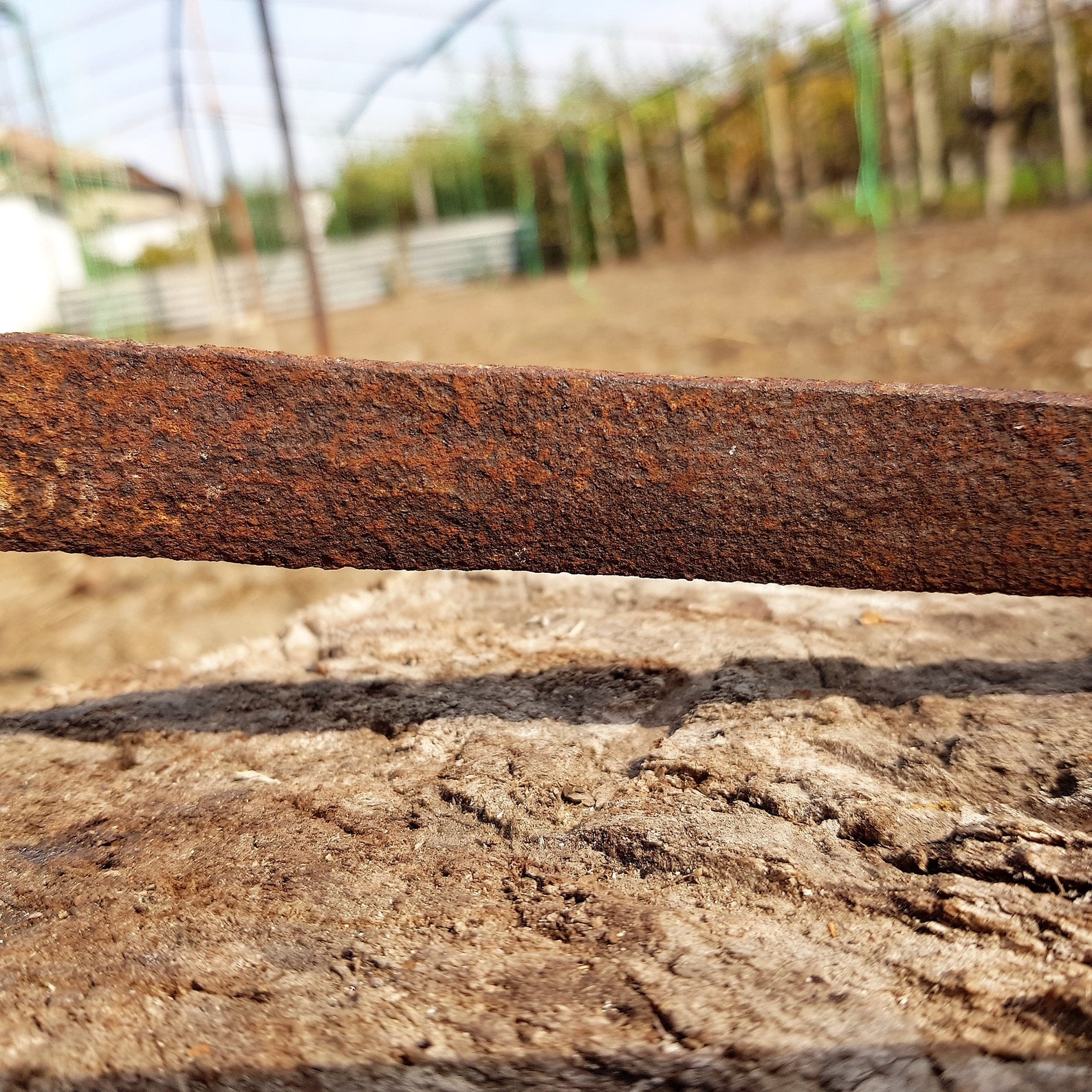 Wood Peeler Antique Peeler Vintage Peeler Hand Forged - Etsy
