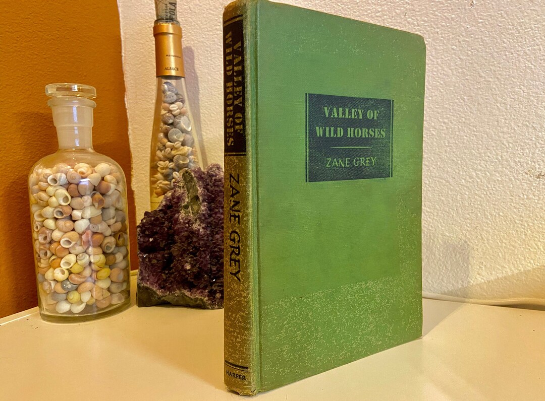 Valley of Wild Horses by Zane Grey, FIRST EDITION, 1927, Collectible ...