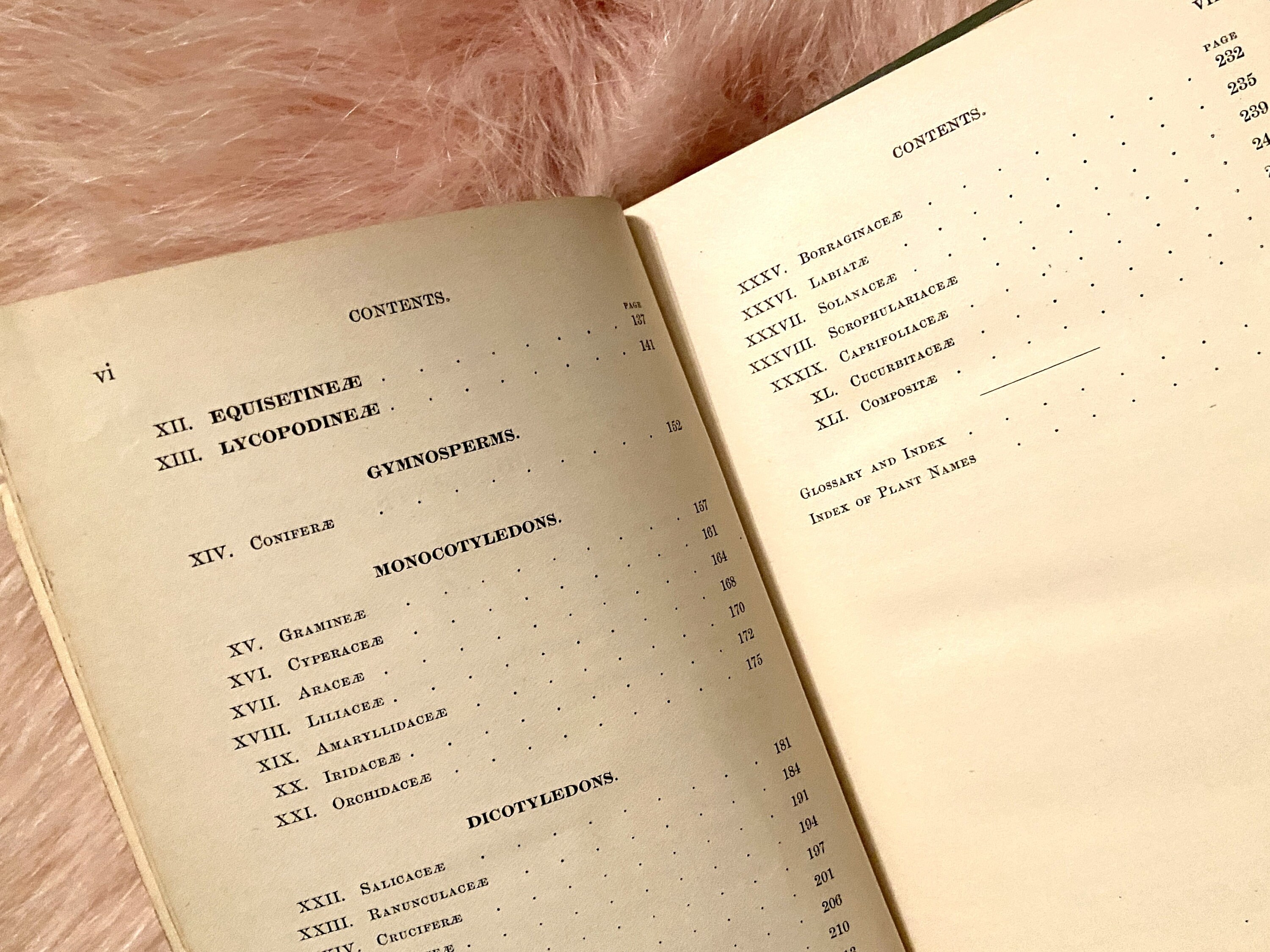 Guide to the Study of Common Plants : an Introduction to Botany by ...