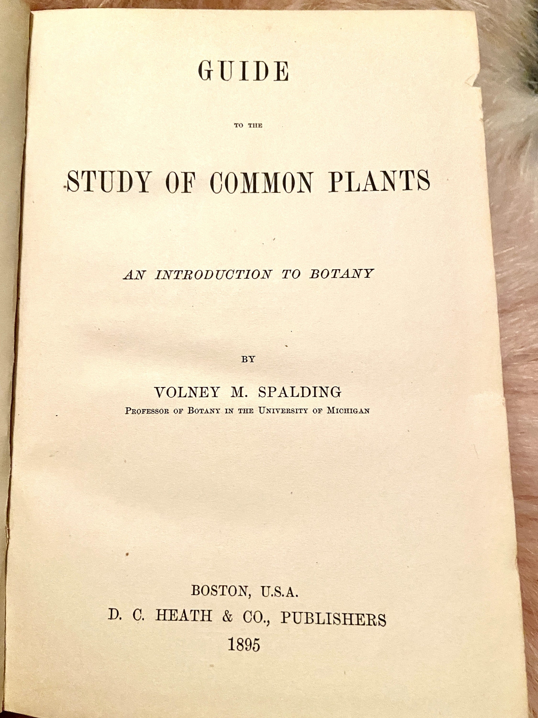 Guide to the Study of Common Plants : an Introduction to Botany by ...