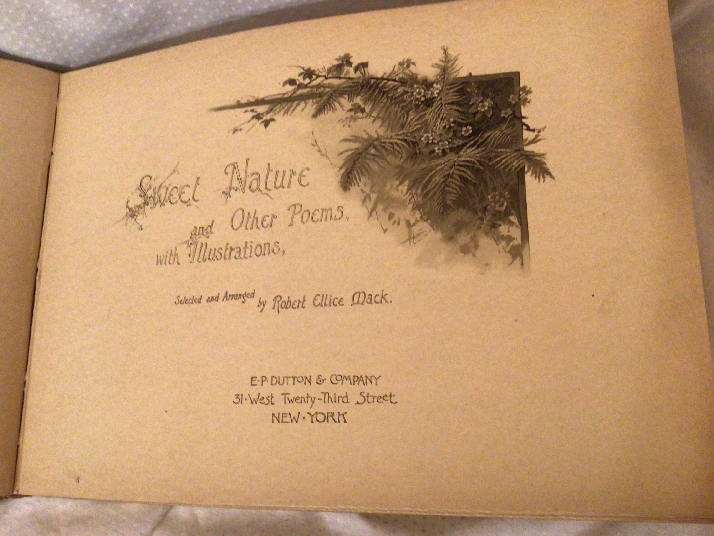 Antique Illustrated Book by Ernest Nister Nuremberg Produced Printed ...