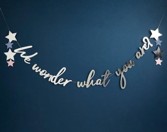 We Wonder What You Are Gender Reveal Bunting Baby Shower - Etsy