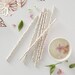 25 Floral Party Straws, Floral Paper Straws, Ditsy Floral, Floral Party ...