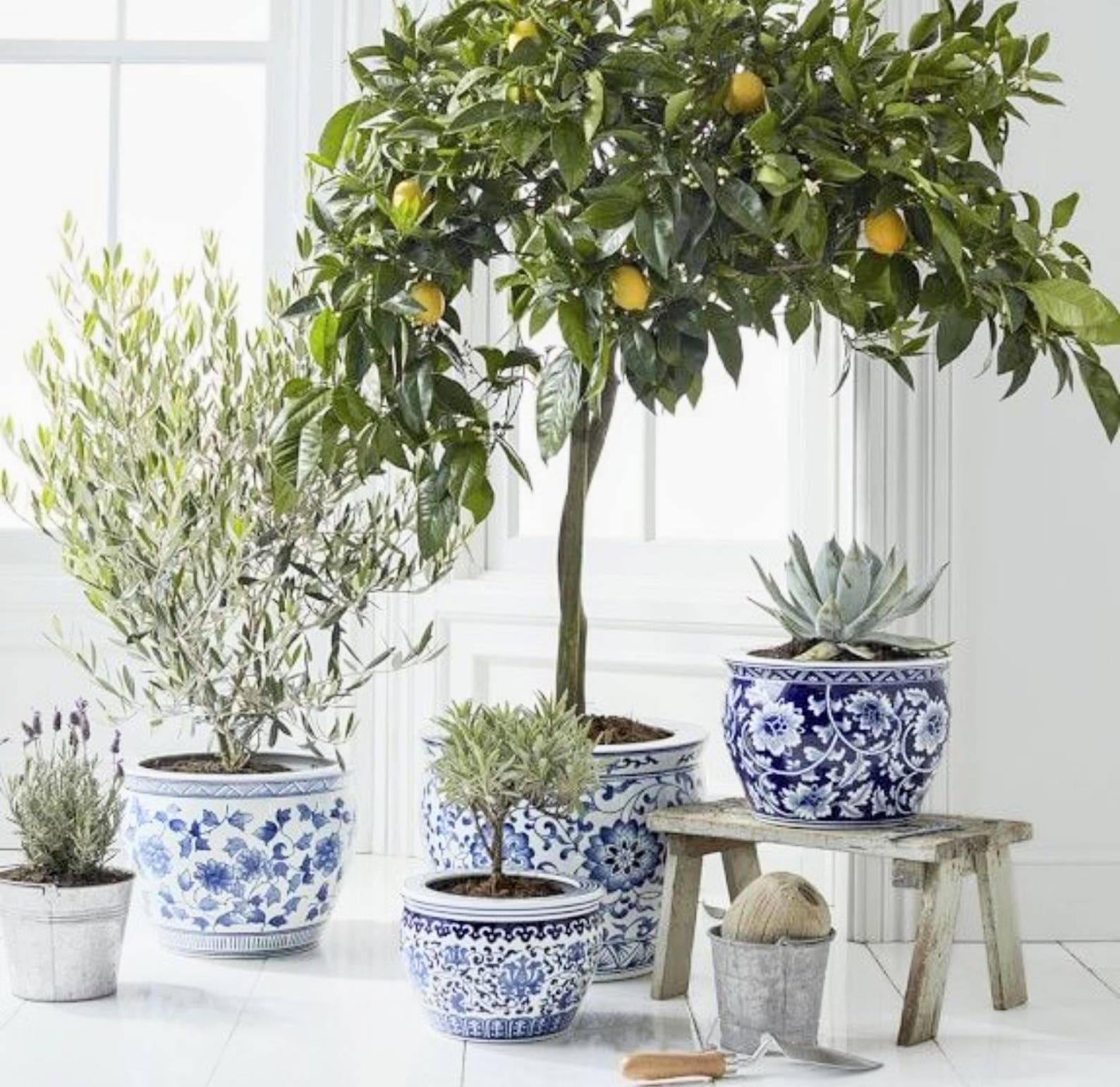 Vintage Asian Garden Pots - Etsy