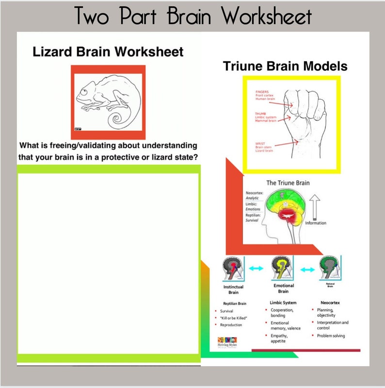 Triune Brain Worksheet: Trauma Therapy Printable (PDF) - Etsy