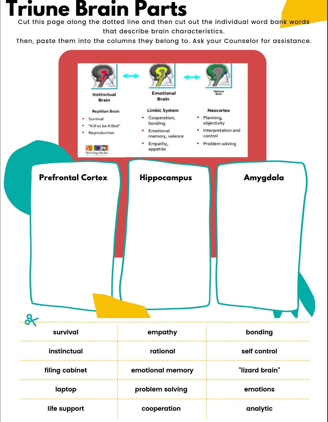 Brain Worksheet, Teaching the Brain Therapy Worksheet, Counseling ...