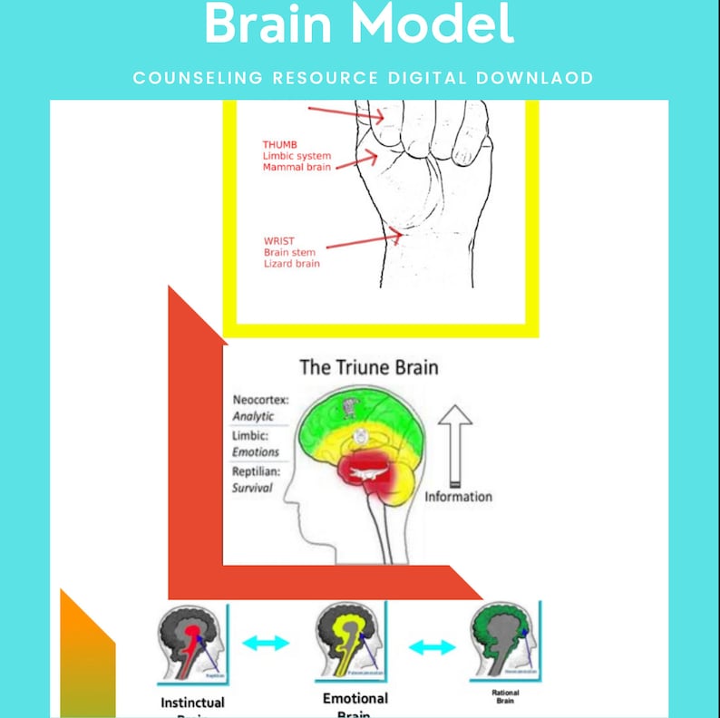 Triune Brain Worksheet: Trauma Therapy Printable (PDF) - Etsy