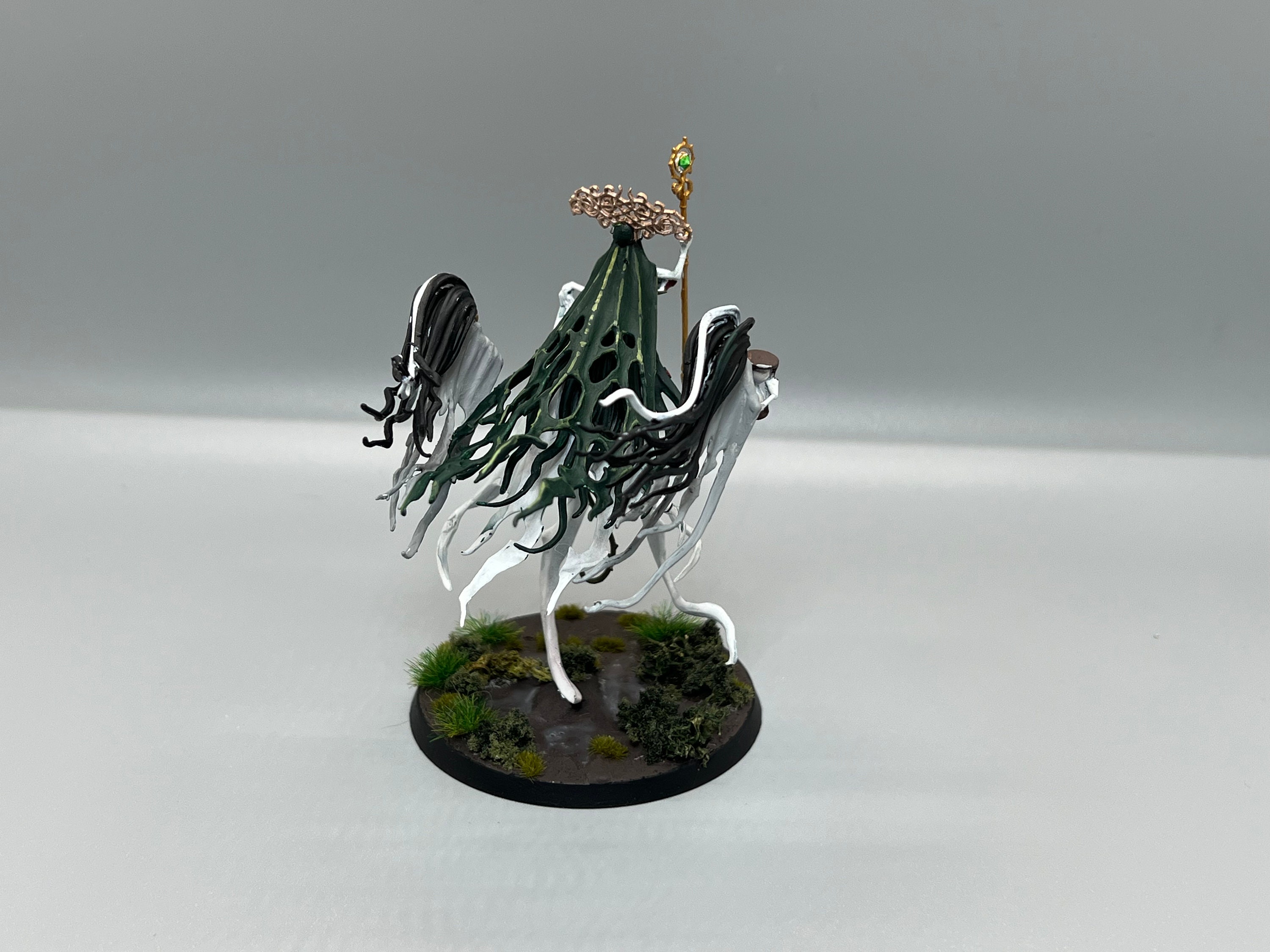 Age of Sigmar Nighthaunt Lady Olynder Mortarch of Grief Painted and ...