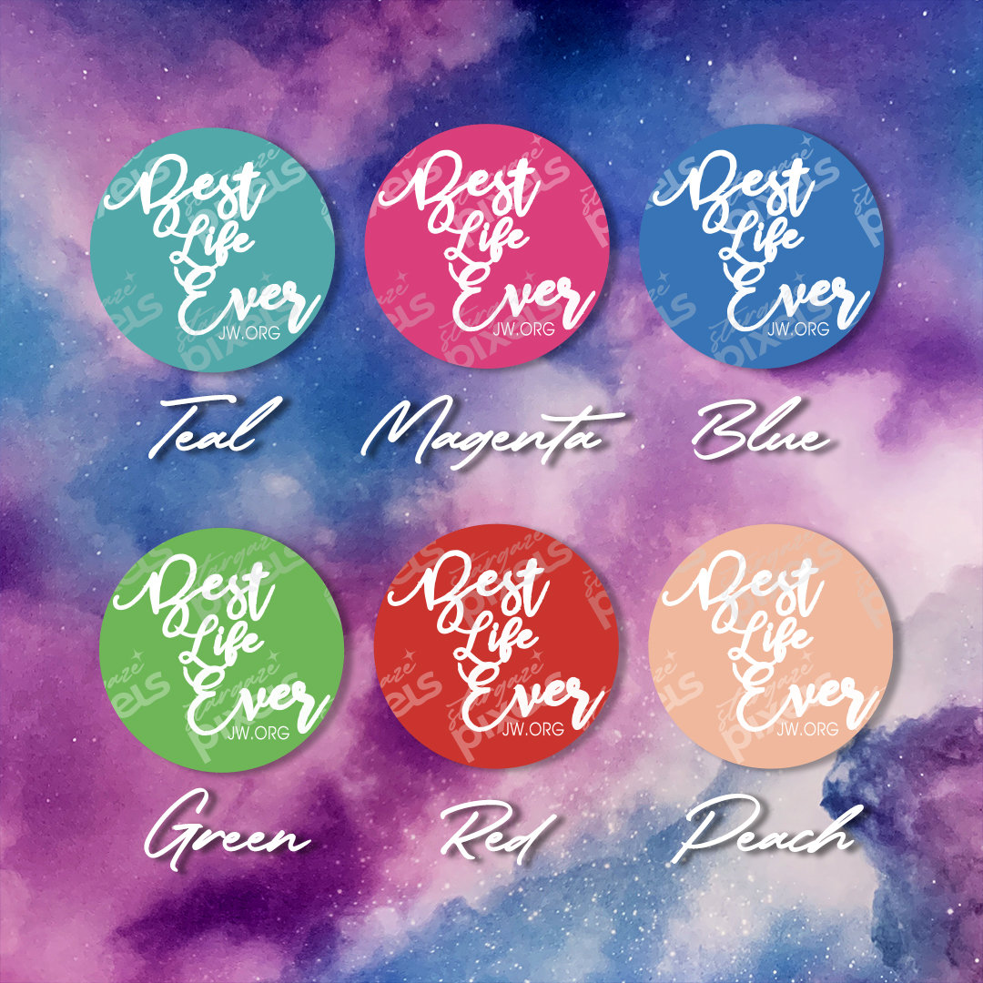 New Best Life Ever Stickers pack of 24 - Etsy