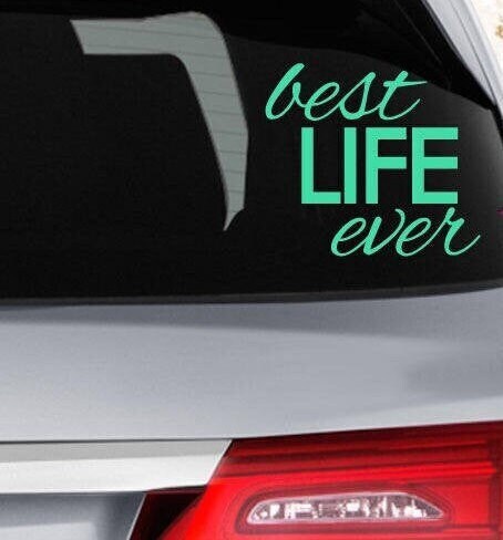 Best Life Ever Decal - Etsy