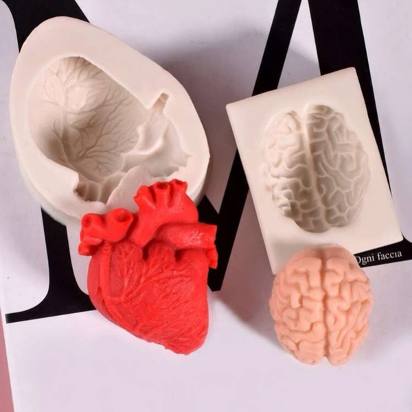 Brain Candy Mold - Etsy