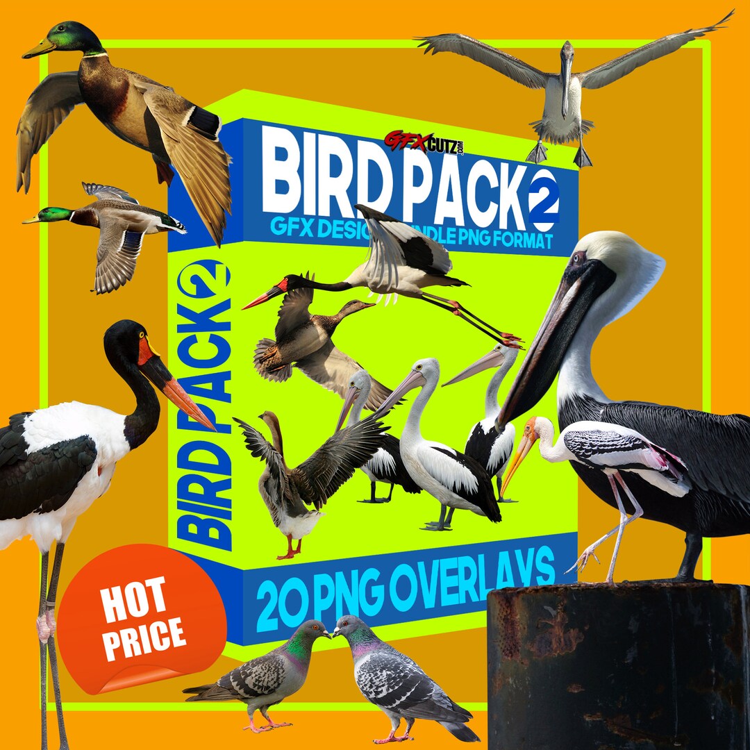 Bird Photoshop Overlays, Great for Compositing or Photo Manipulation ...
