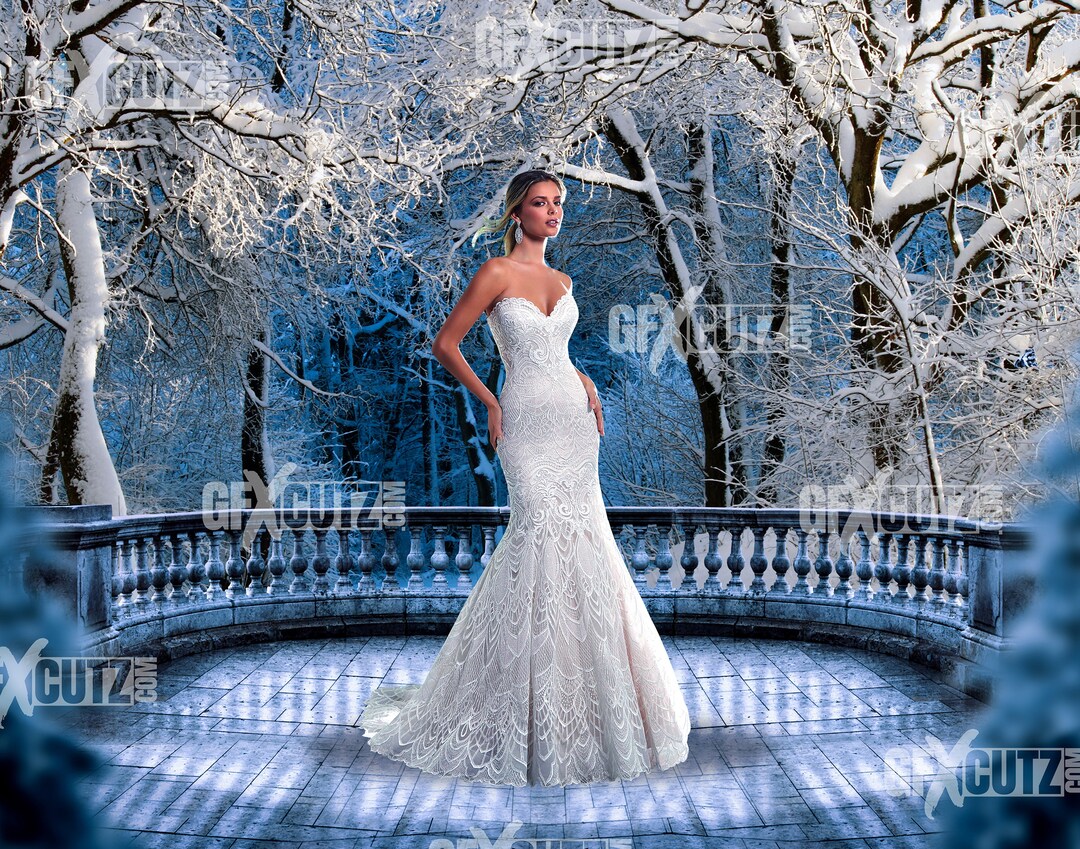 Digital Photography Fairy-tale Cosplay Backdrop, "enchanted Woodland ...