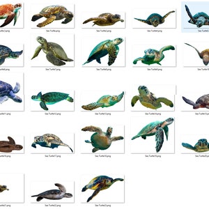 Sea Turtle Photoshop Overlay Bundle in PNG Format (sea Turtle ...