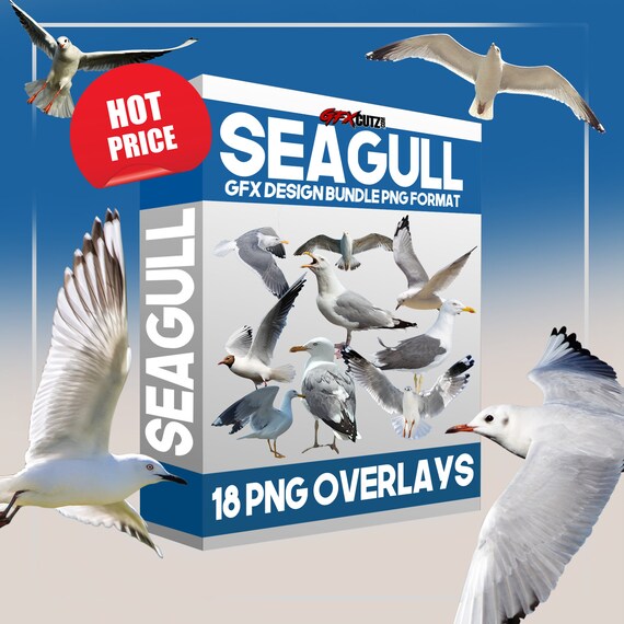 Seagull Graphic Photoshop Design Overlay Bundle PNG Format - Etsy Australia