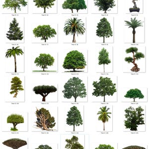 Trees Vol. 2 - GFX Design Bundle PNG Format - No Background Images - Etsy