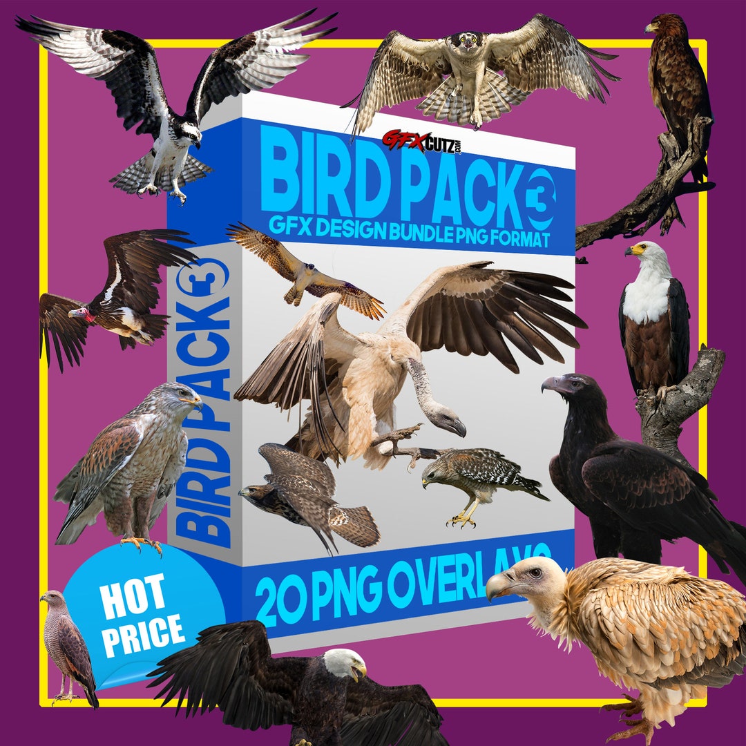 Bird Photoshop Overlays, Great for Compositing or Photo Manipulation ...