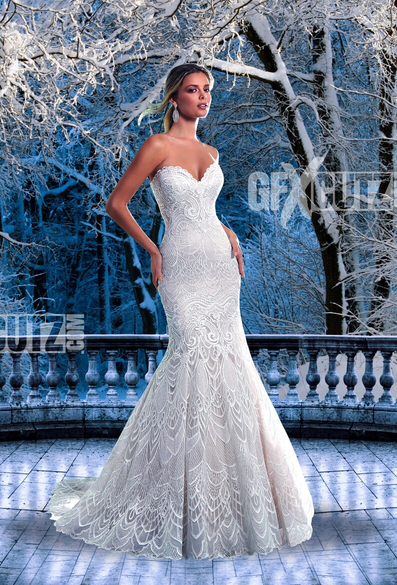 Digital Photography Fairy-tale Cosplay Backdrop - Etsy