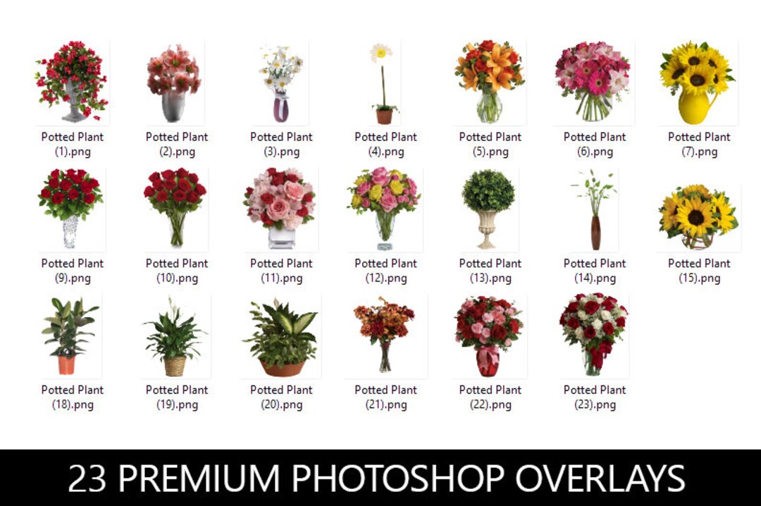 Potted Flowers Photoshop Overlays in Png Format Forrest Overlay, Flower ...