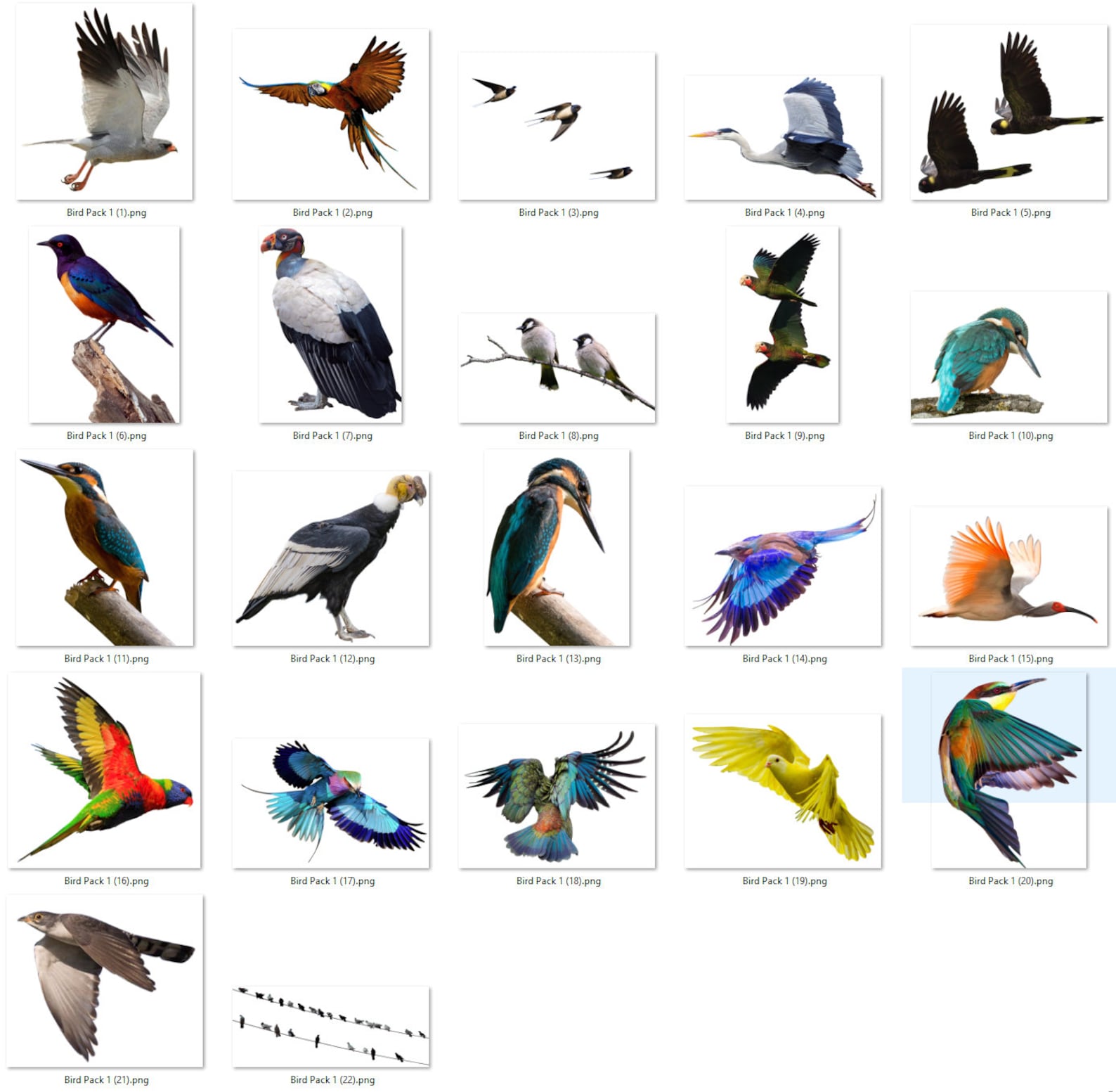 Bird Photoshop Overlays, Great for Compositing or Photo Manipulation ...