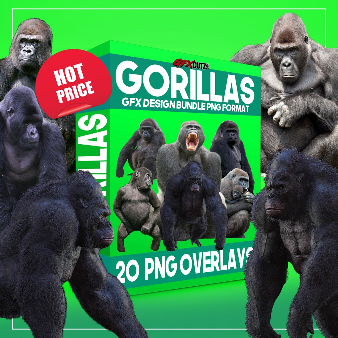 Gorillas Overlays GFX Design Bundle PNG Format - No Background Images ...
