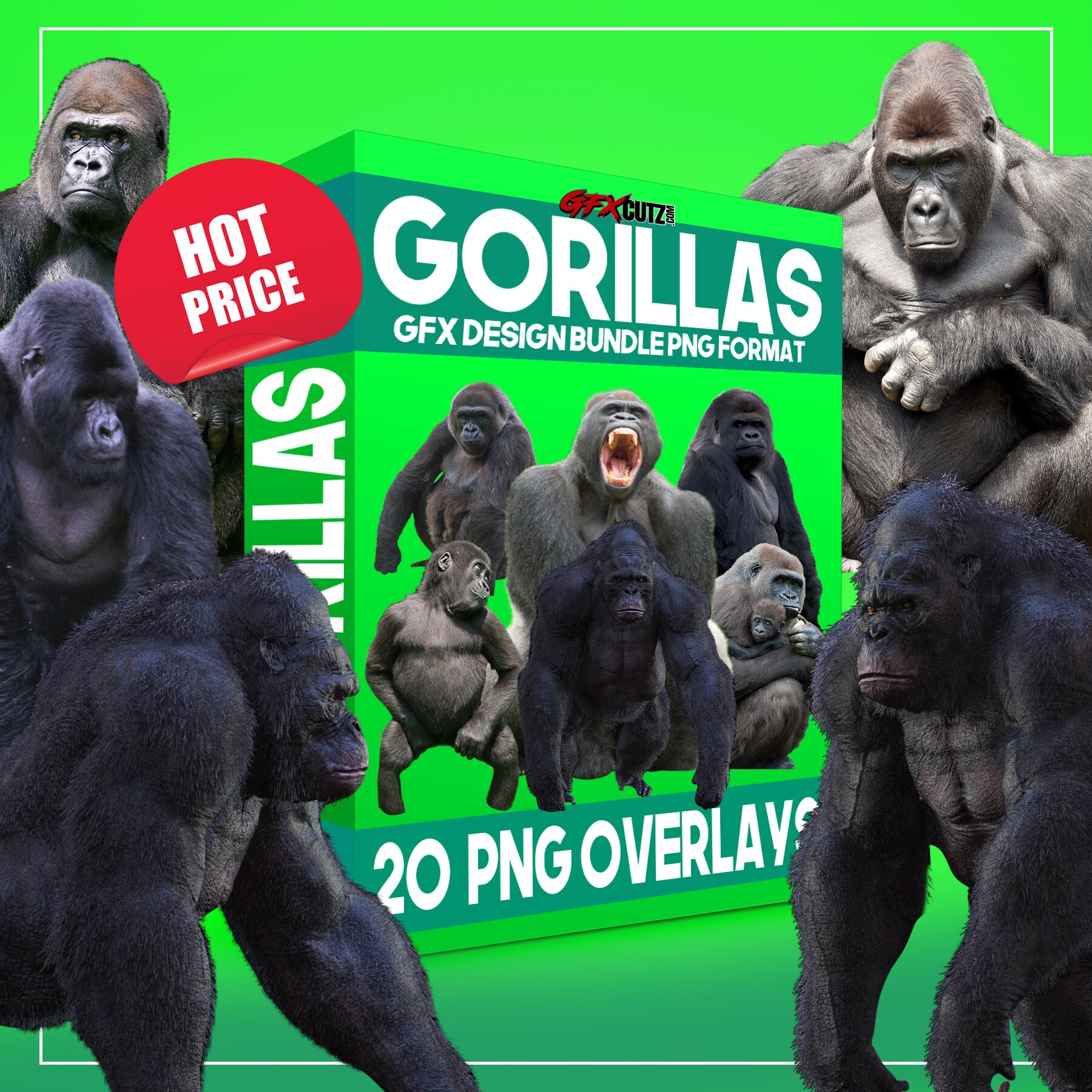 Gorillas Overlays GFX Design Bundle PNG Format No Background - Etsy UK