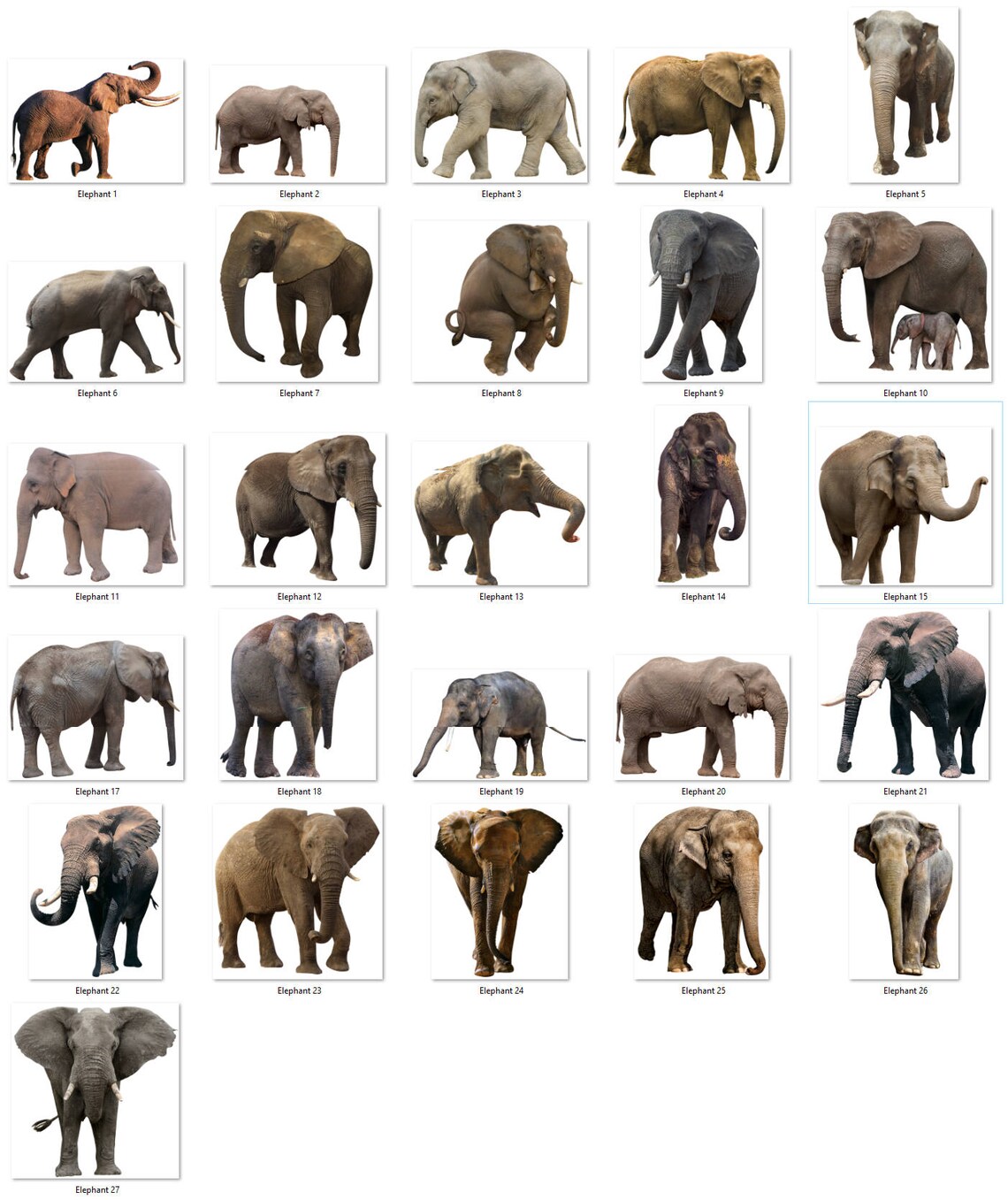 Elephant Overlays for Photoshop in Png Format for Your Photo - Etsy