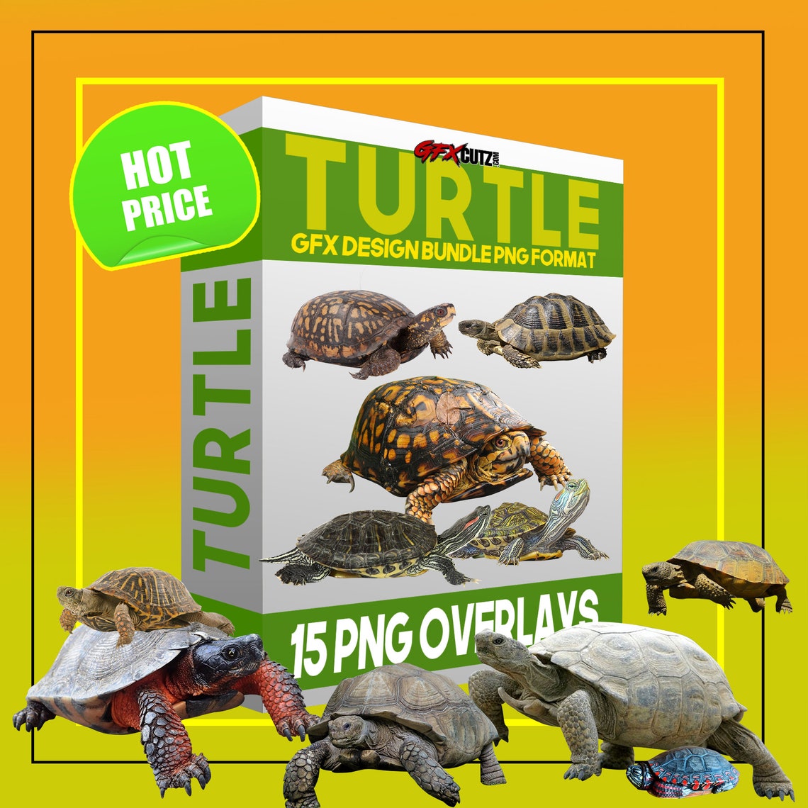 Turtle Photoshop Overlay Bundle in PNG Format reptile - Etsy