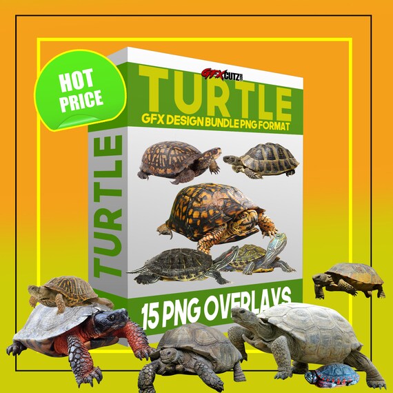 Turtle Photoshop Overlay Bundle in PNG Format reptile | Etsy